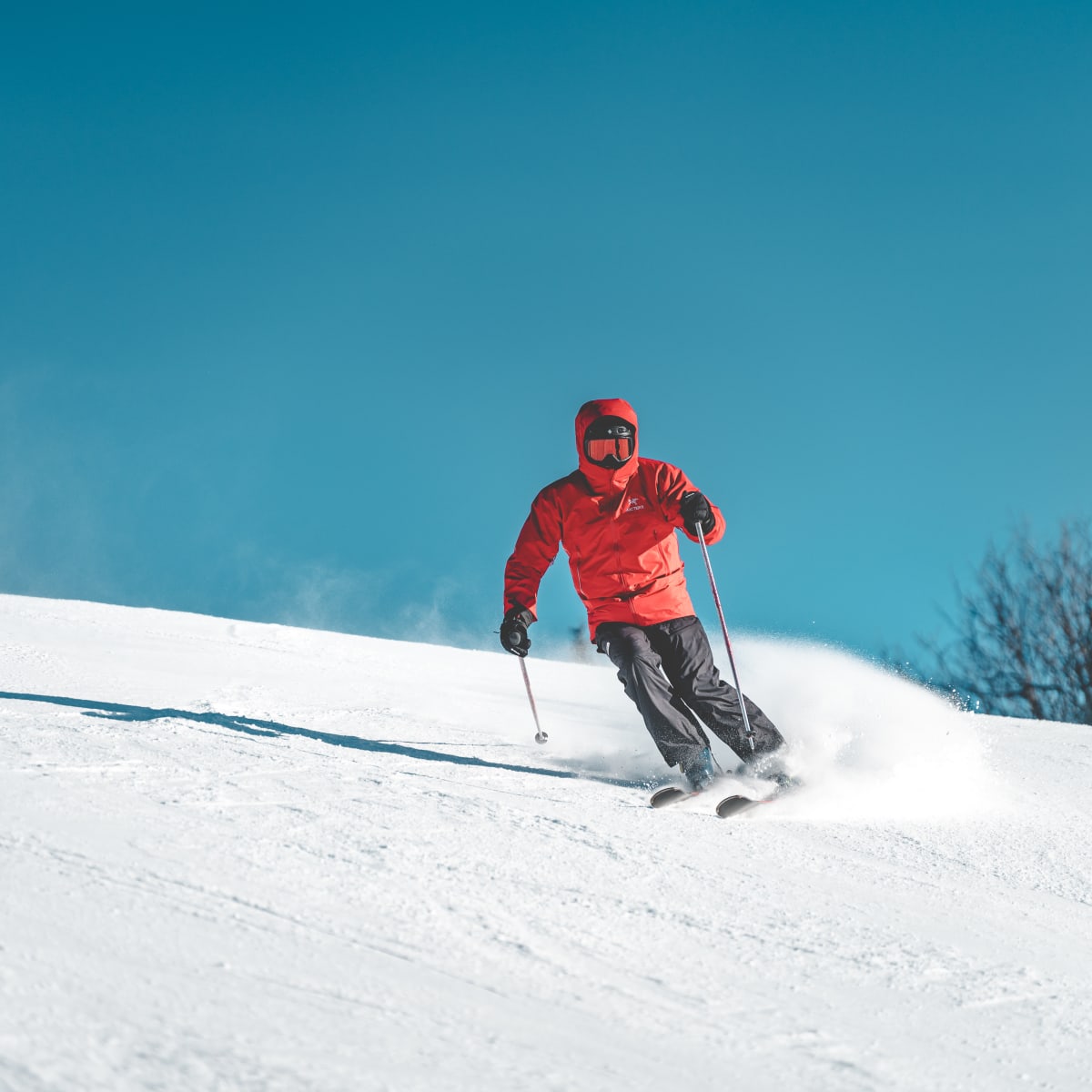 Winter activities in La Malbaie, a paradise between river and mountains ...